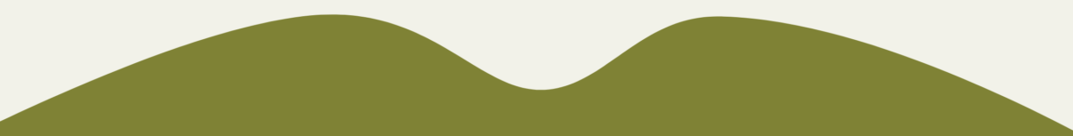 About Us - Spice Services
